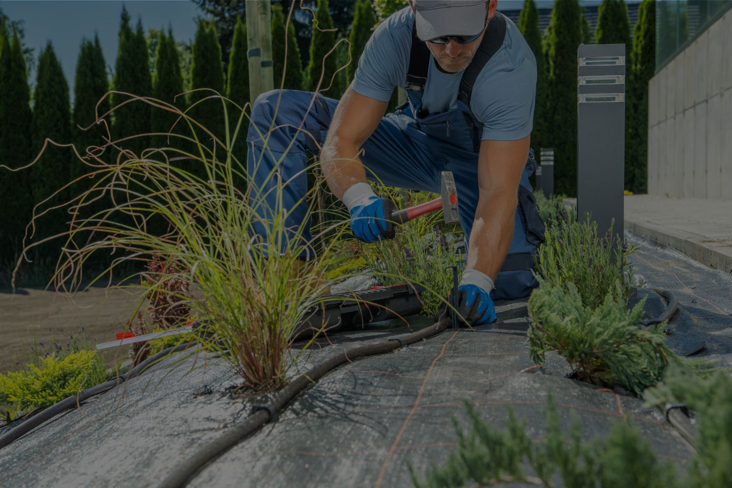 Home Page - Mora Property Service