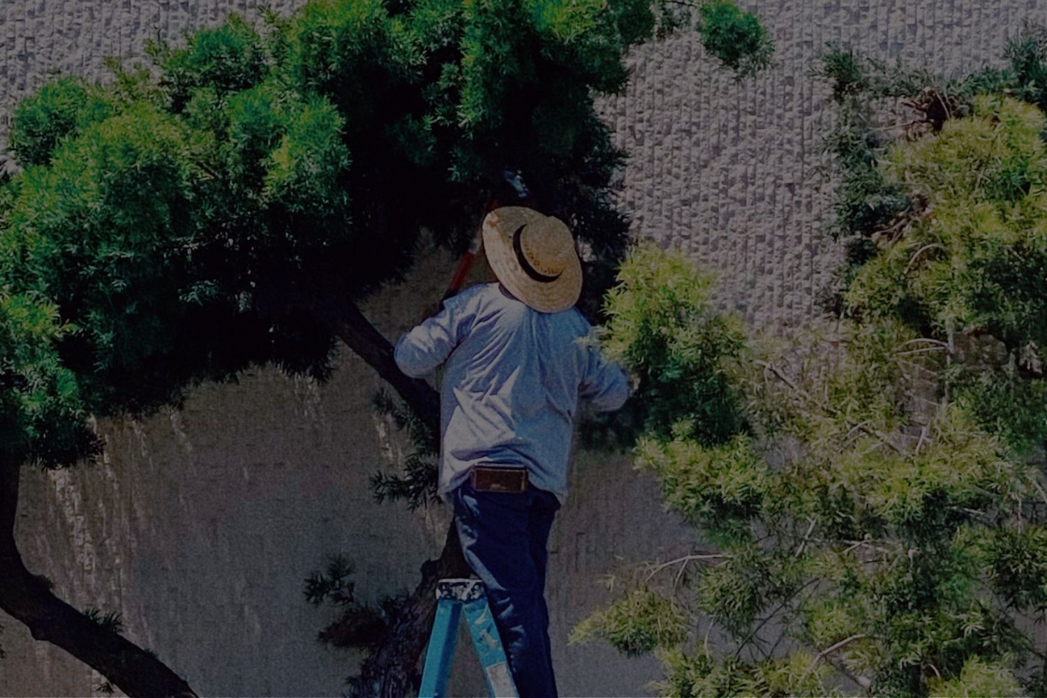 Home Page - Mora Property Service